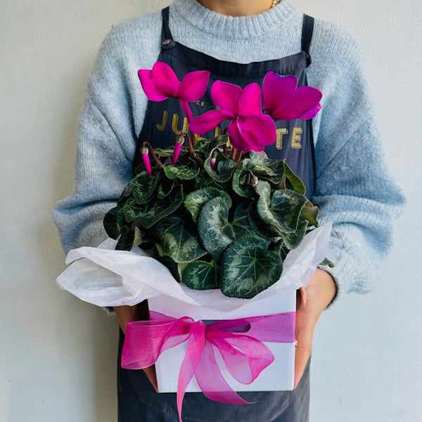 Products – Juliette Florist